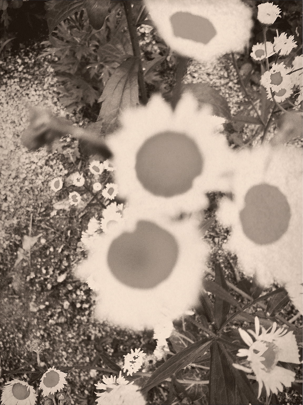 exchange glances - bakhyonjin