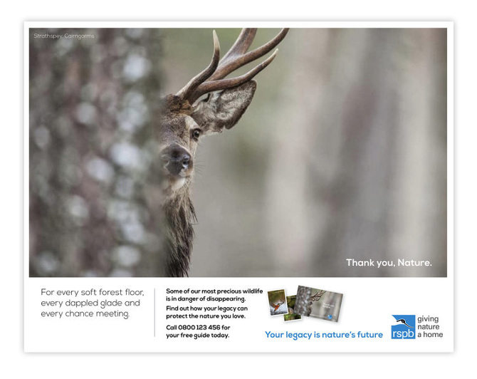 RSPB Legacy Campaign - hannahwalliscreative.com