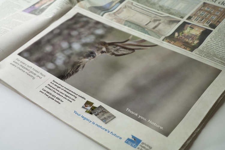 RSPB Legacy Campaign - hannahwalliscreative.com