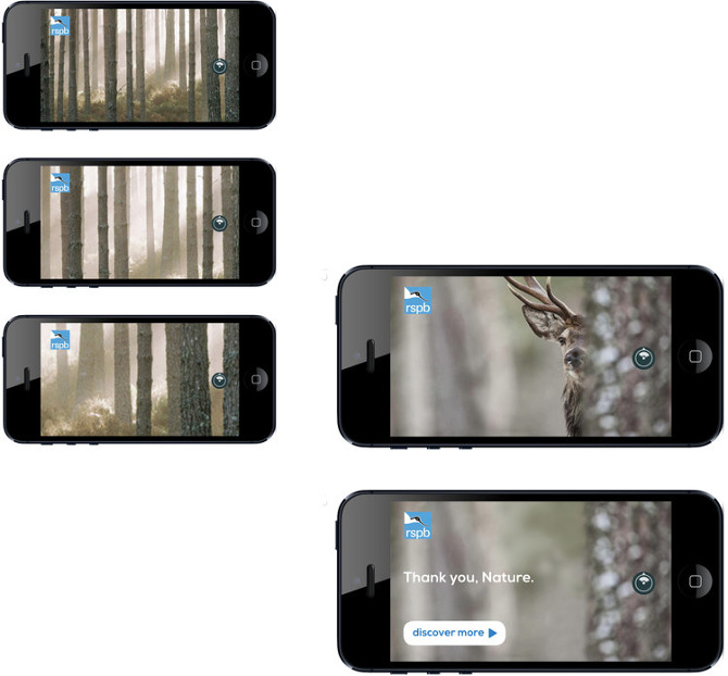 RSPB Legacy Campaign - hannahwalliscreative.com