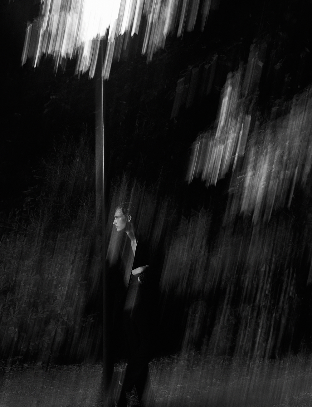 THE PARK - Giorgio Codazzi