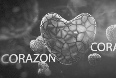 Corazón Coraza - M+O