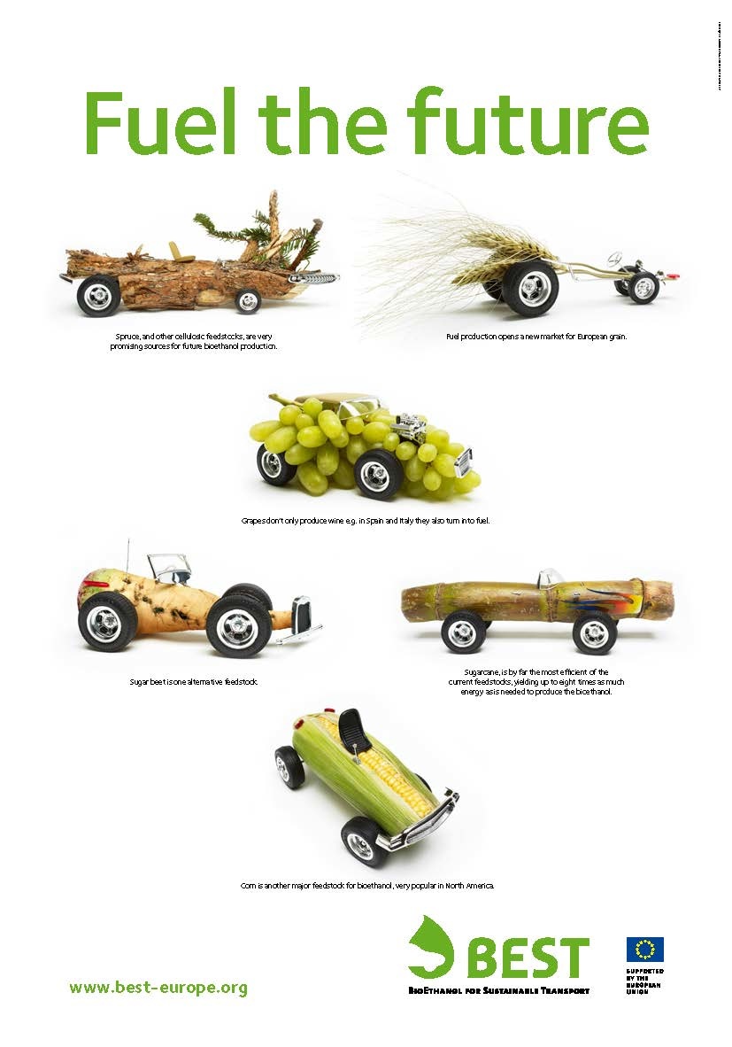 Bioethanol for a Sustainable Future - Ulrica Art Director