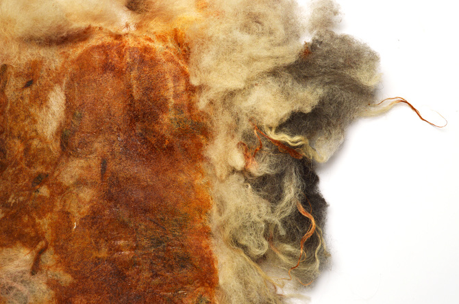 Hard Wool - Védís Pálsdóttir