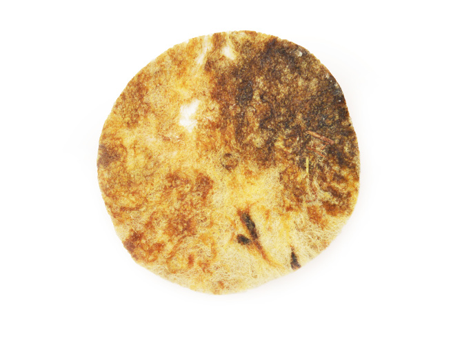 Hard Wool - Védís Pálsdóttir