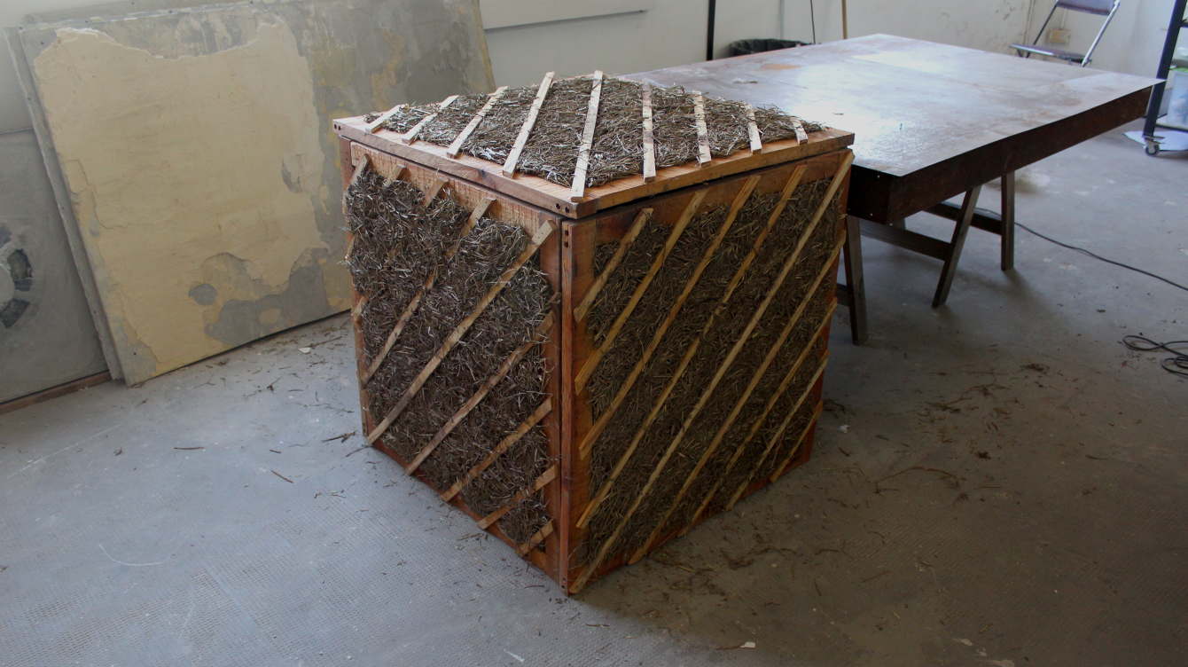 Quincha - Juan Sorrentino