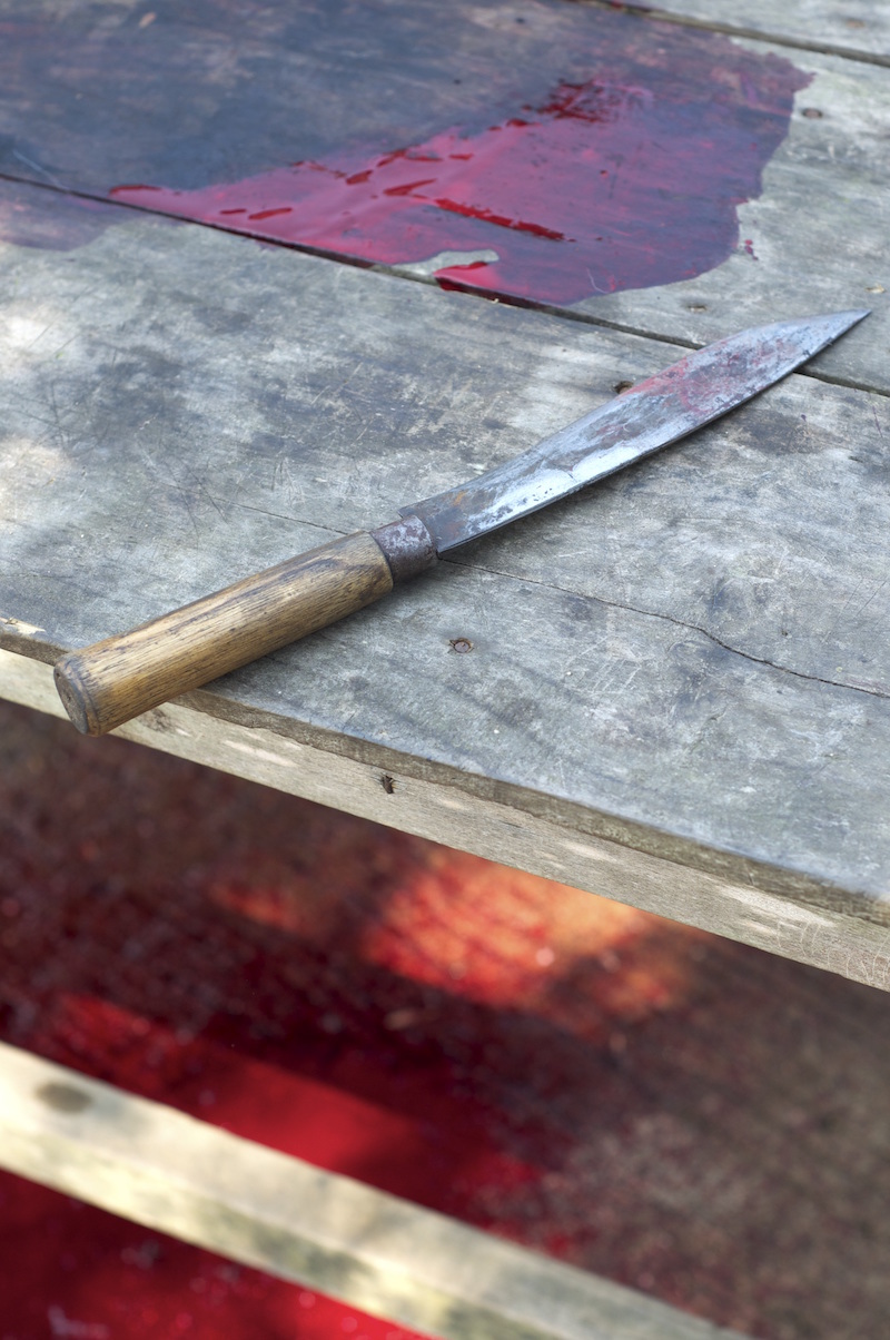 MATADOR MAGAZINE - Martin Bruno