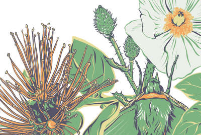 Field Guide - Art by Yvonne Byers