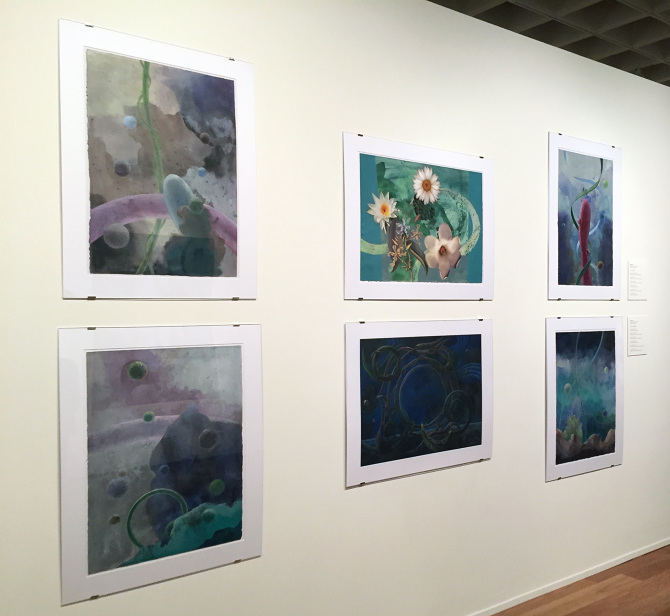 Orlando Museum of Art - Steve Lotz