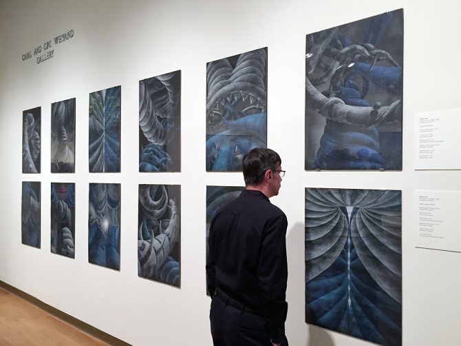 Orlando Museum of Art - Steve Lotz