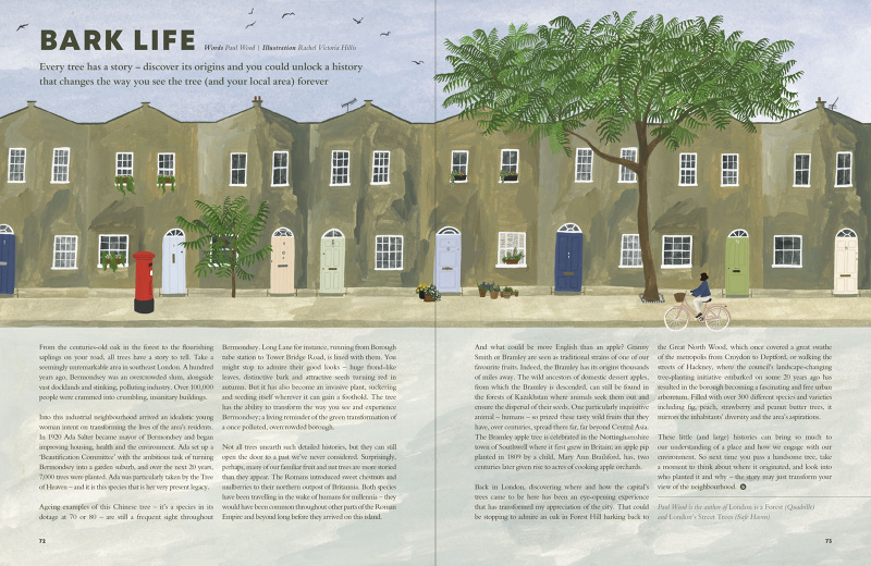 Bloom Magazine 'Bark Life' - Rachel Victoria Hillis Illustrations