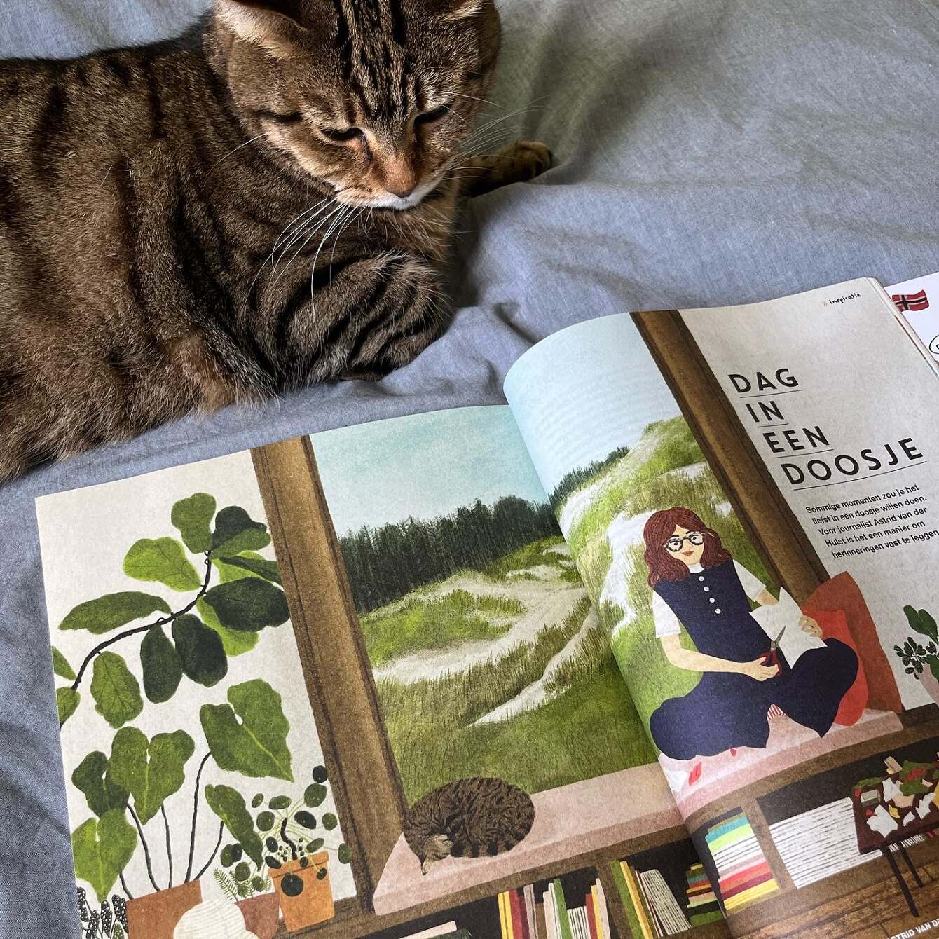 Flow Magazine 2023 - Rachel Victoria Hillis Illustrations