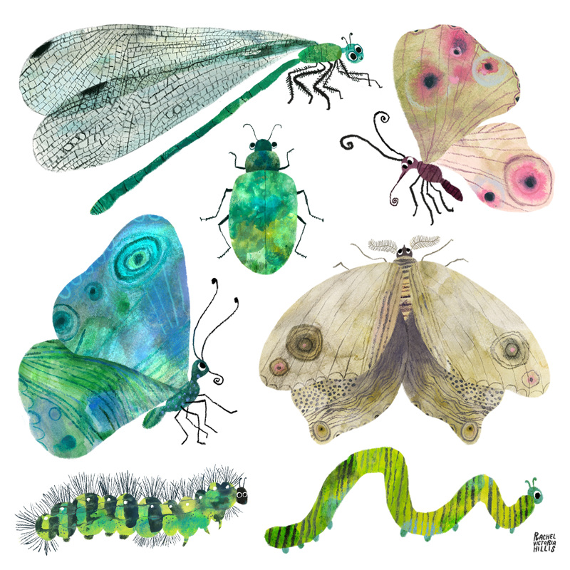 Bugs - Rachel Victoria Hillis Illustrations