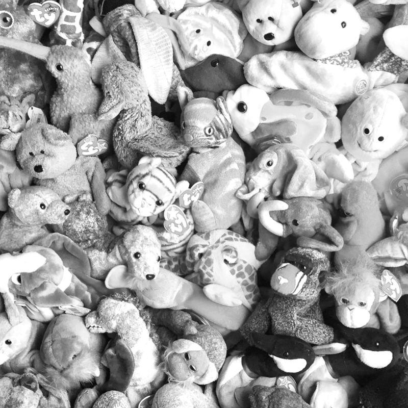 Collection - Jordan Hughes