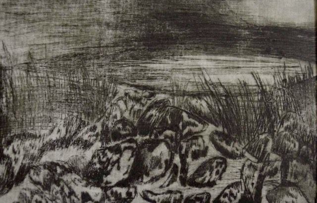 Documentary Drawing - Chloe Parry illustration