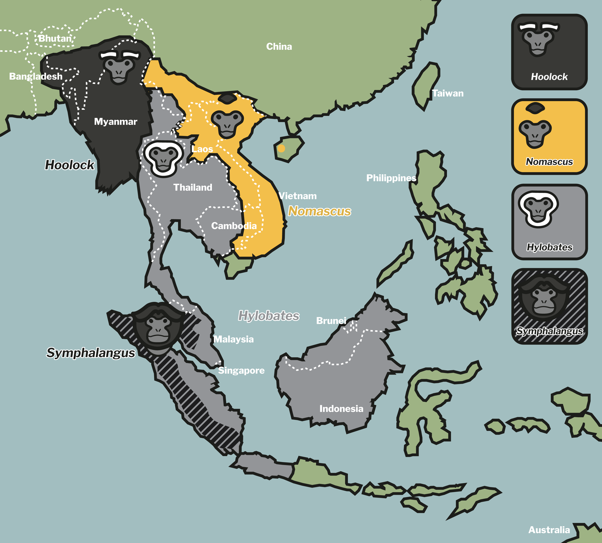 IUCN Gibbon SSA - second nature studios