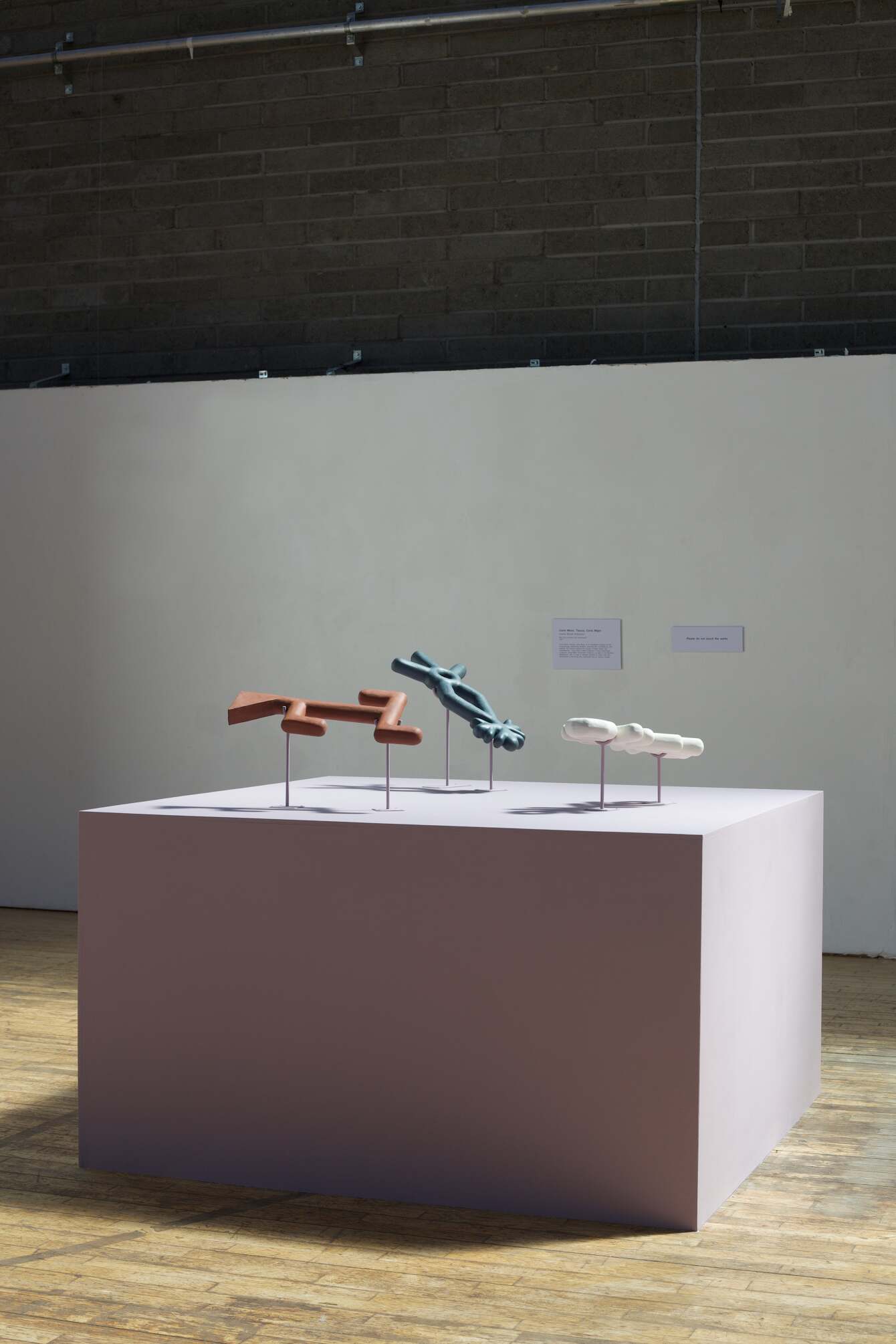 Canis Minor, Taurus, Canis Major - Jeanne Blissett Robertson