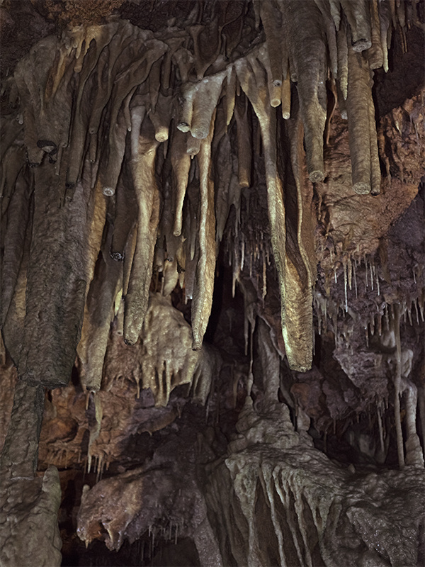 THE NAMELESS DREAD - Mari Masouridou