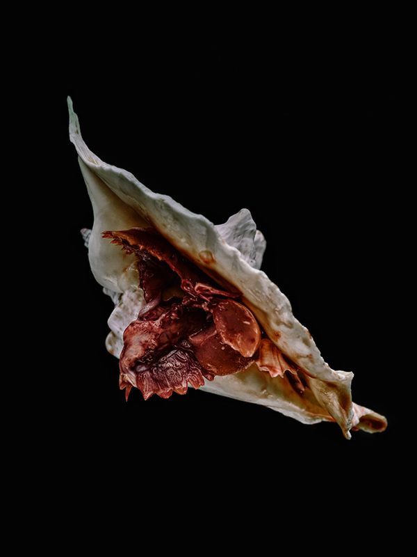 THE NAMELESS DREAD - Mari Masouridou