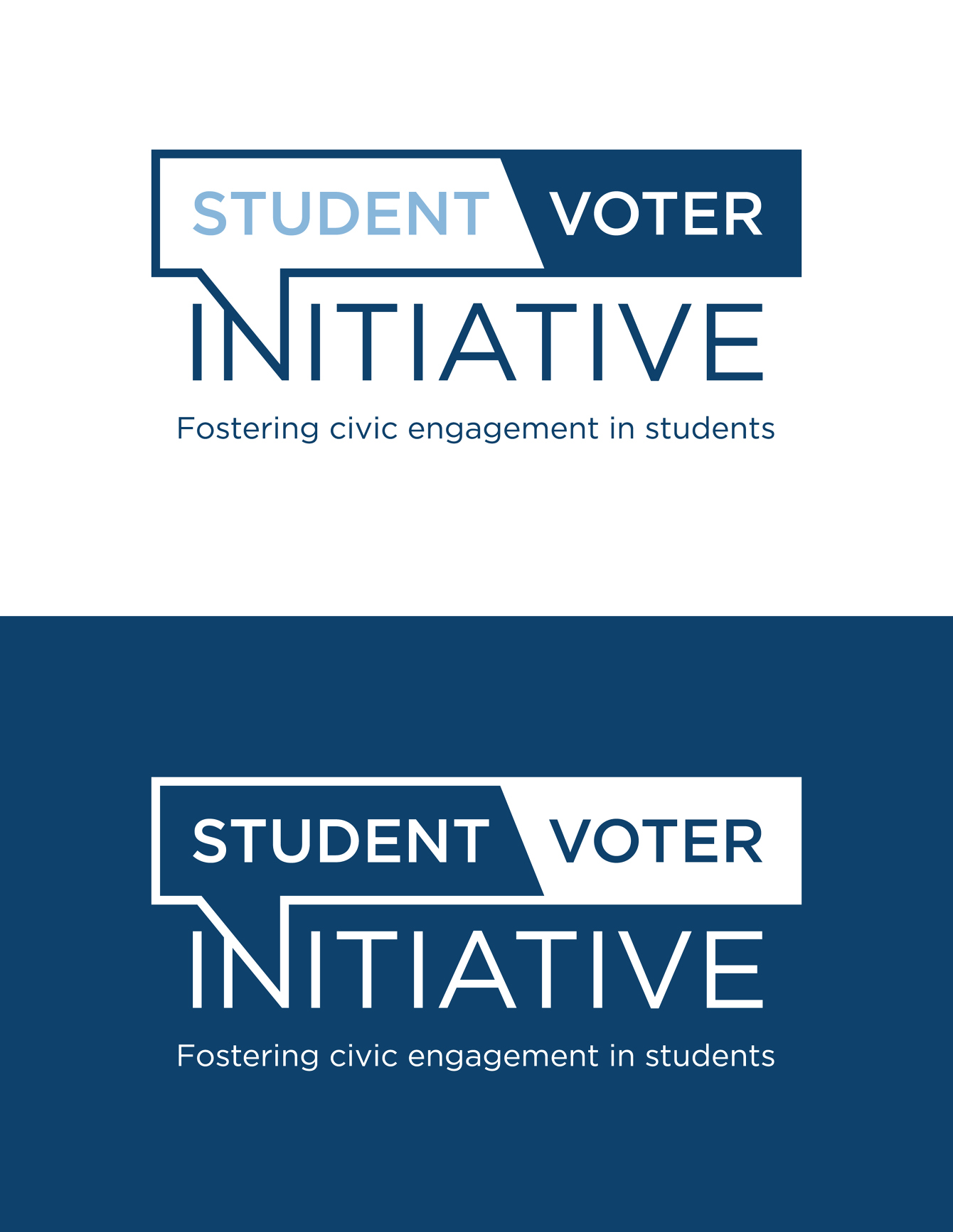 Battleground Texas Internship - Nora Greene