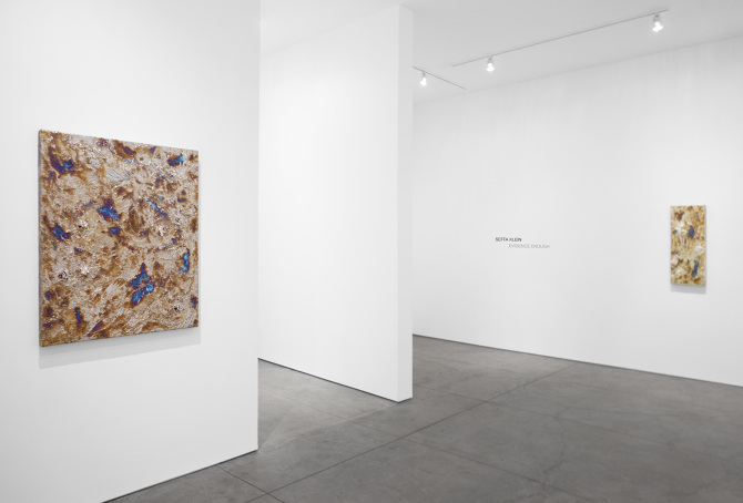 Solo: "Evidence Enough" at Peter Blake Gallery - Seffa Klein