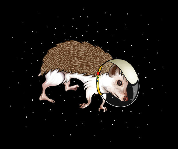 Hedgehog Astronaut - AllisonEngel