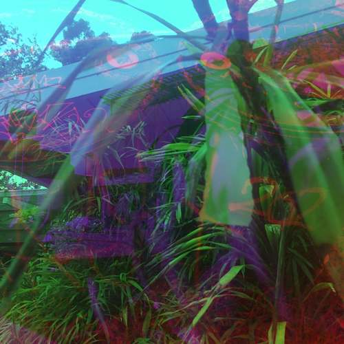 Digital Layering Project - Dank Photos?