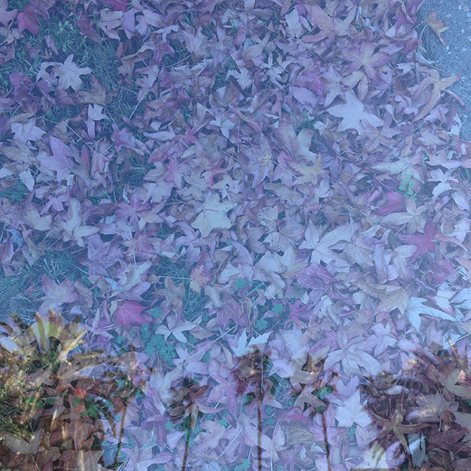 Photo Layering Project Final - Aspensky