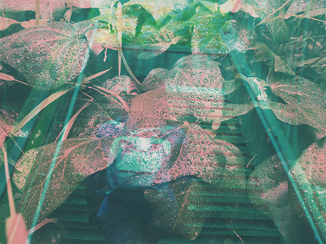 Photo Layering Project Final - Aspensky