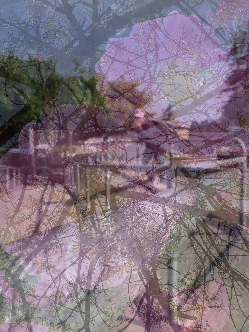 Photo Layering - Jj's Art Gallery