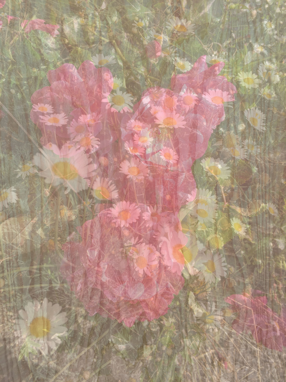 Photo Layering - Jj's Art Gallery