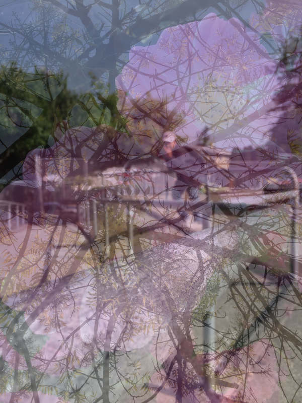 Photo Layering - Jj's Art Gallery