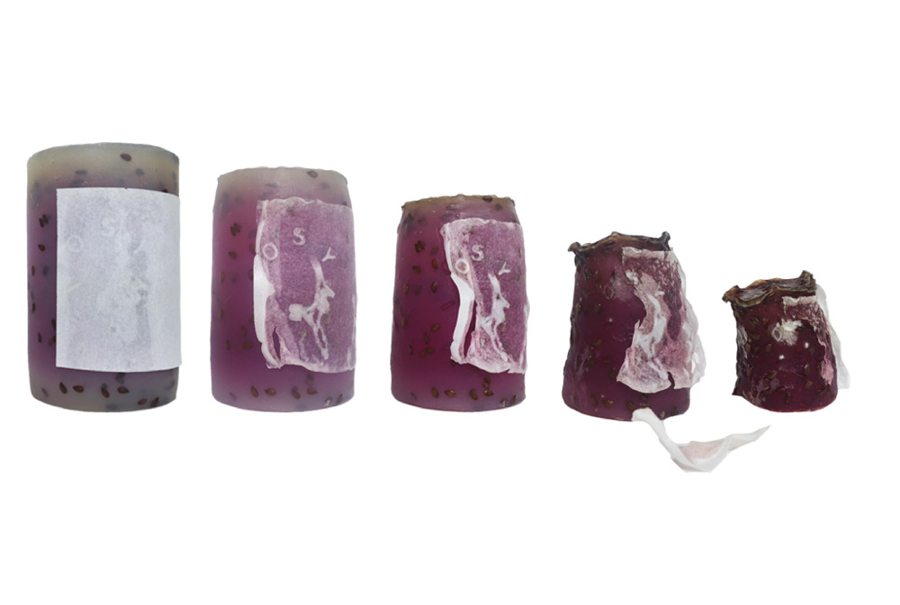 SYMBIO x EDIBLE PACKAGING - visual com