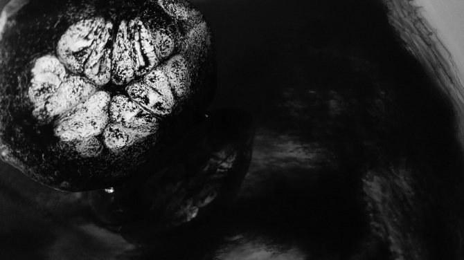 Cucumber and Indian ink - Laura de Valk