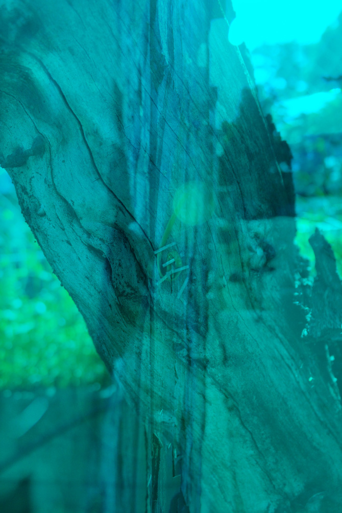 Photo Layering Project - STITCH