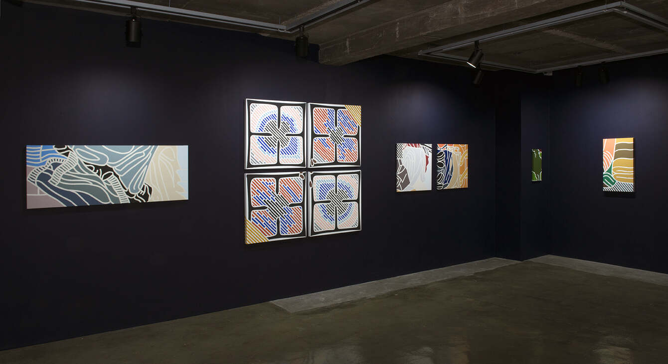 2018 900x Magnification - www.kookdongwan.com