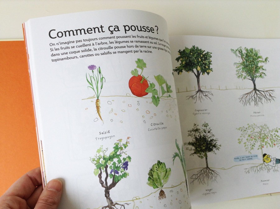 Tout sur l' automne - Charline Picard