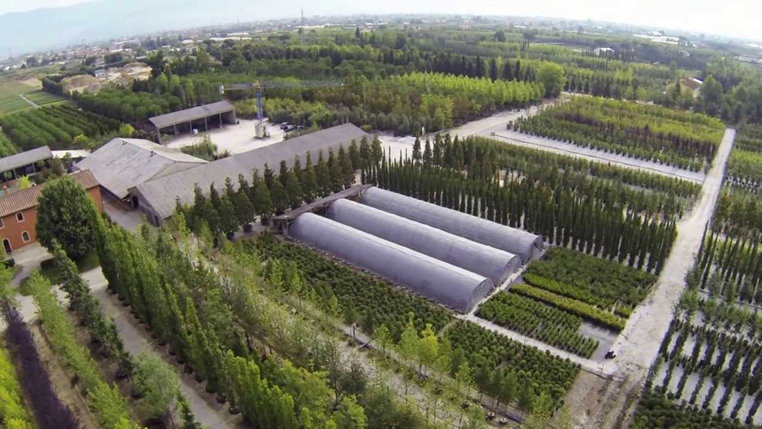 LANDSCAPE DESIGN & EXECUTION - Green Group