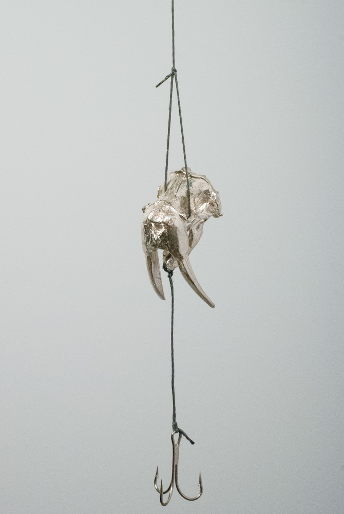 Walrus Lure - couzyn