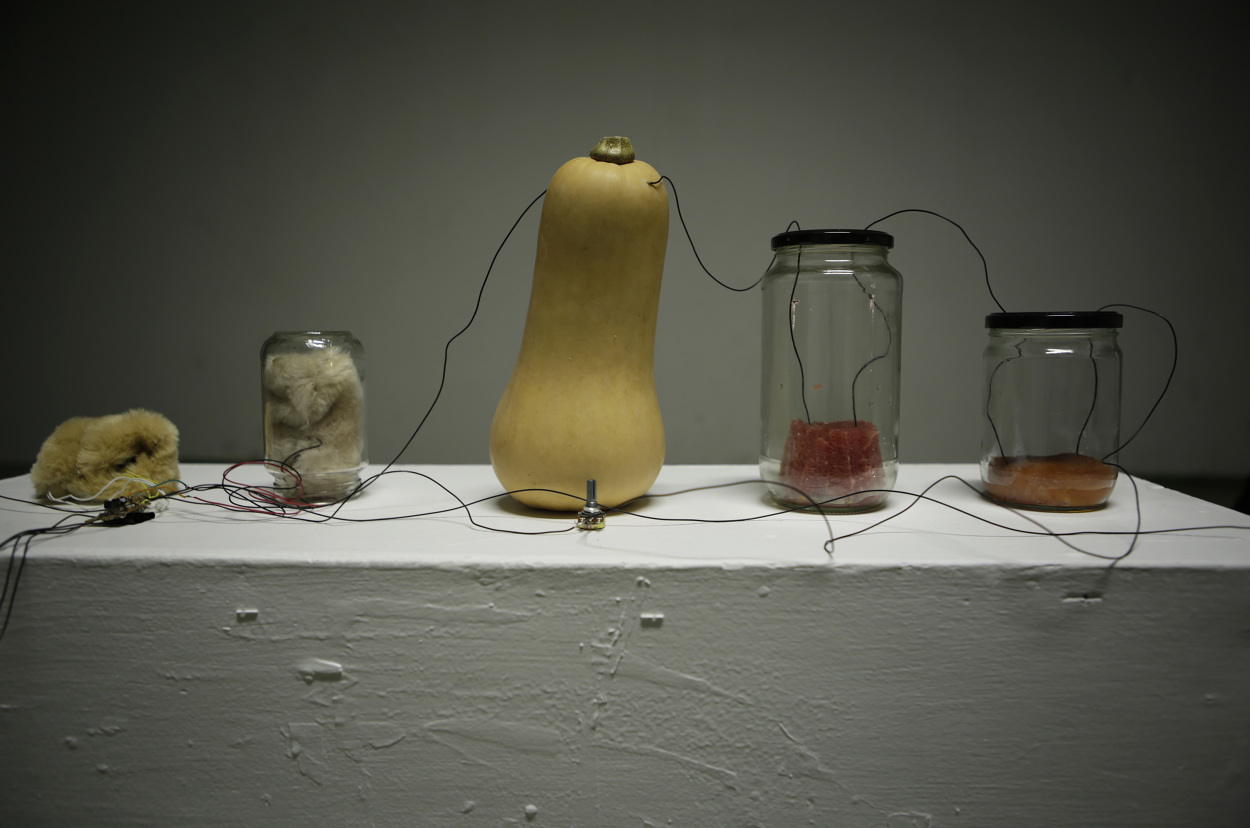 Organic Machine I - aesasaga