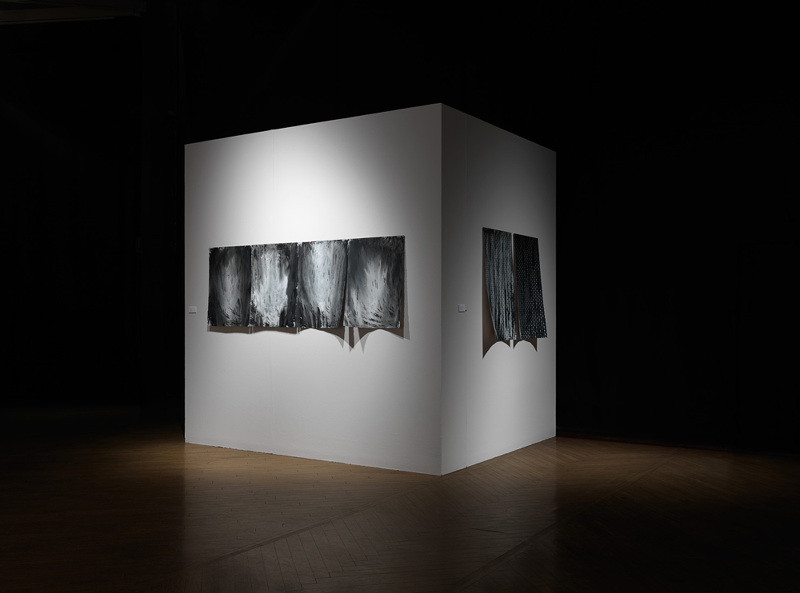 Untitled (Echo) - Aleksandra Antic