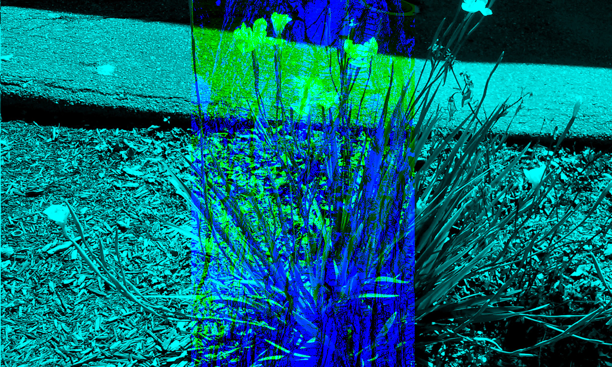 Digital Imaging - Tyler Secrease