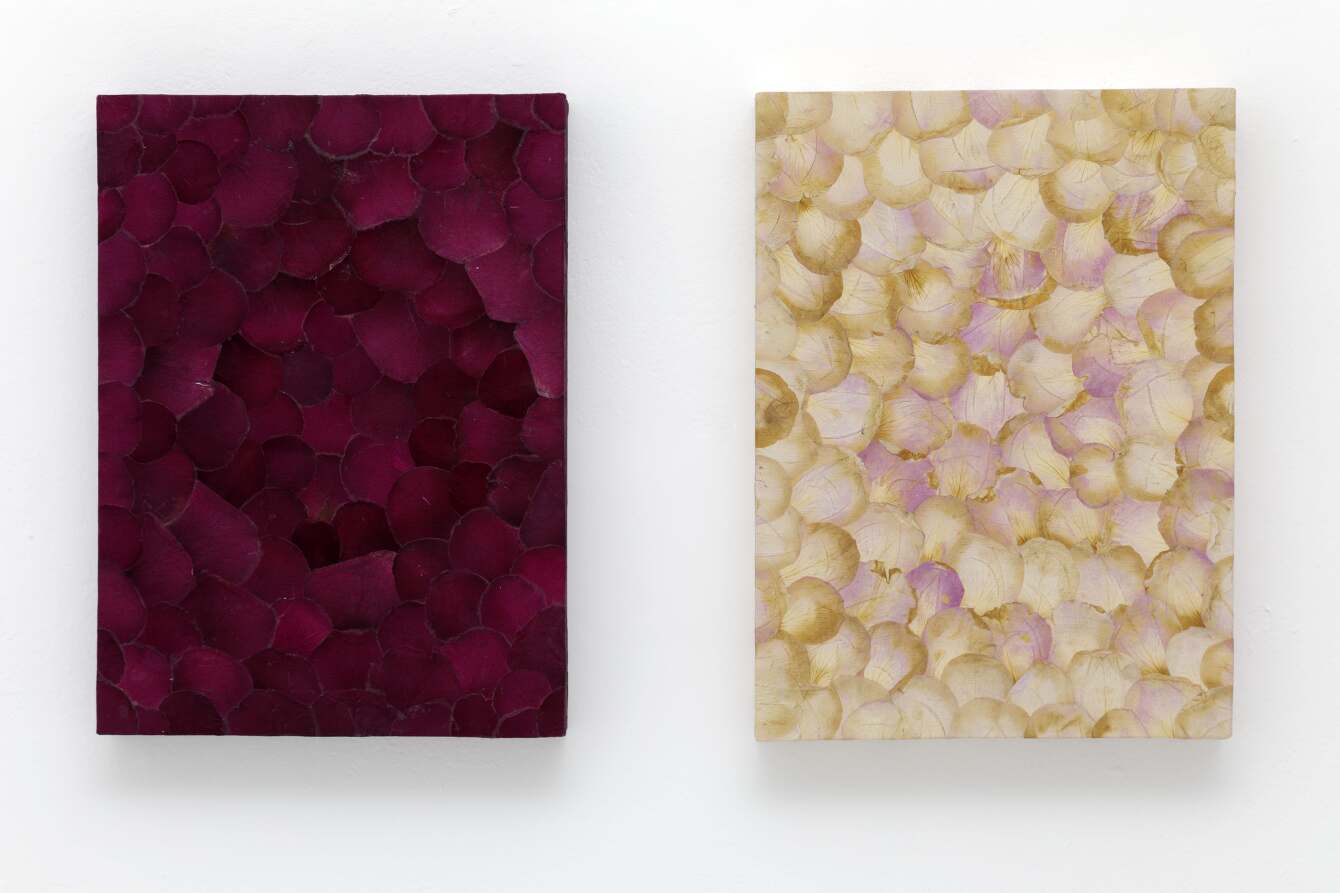 2022 - Espace d'art Camille Lambert - Florian Mermin