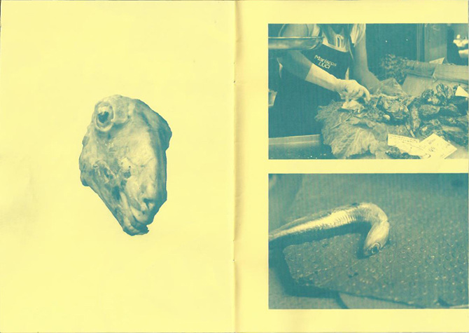 Funzine Barcelona - Shahar Adar