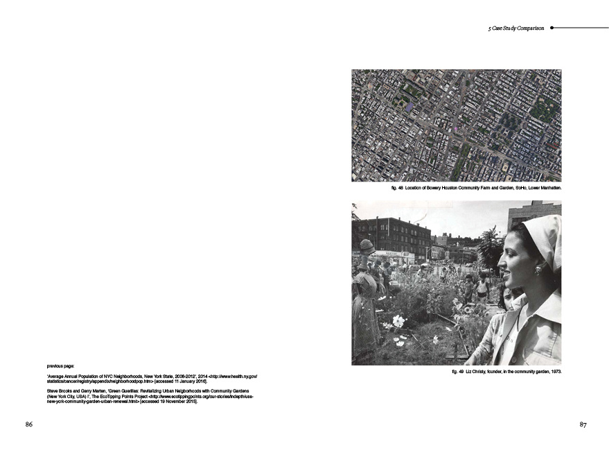 Turning from Grey to Green - naomi howell-sivosh