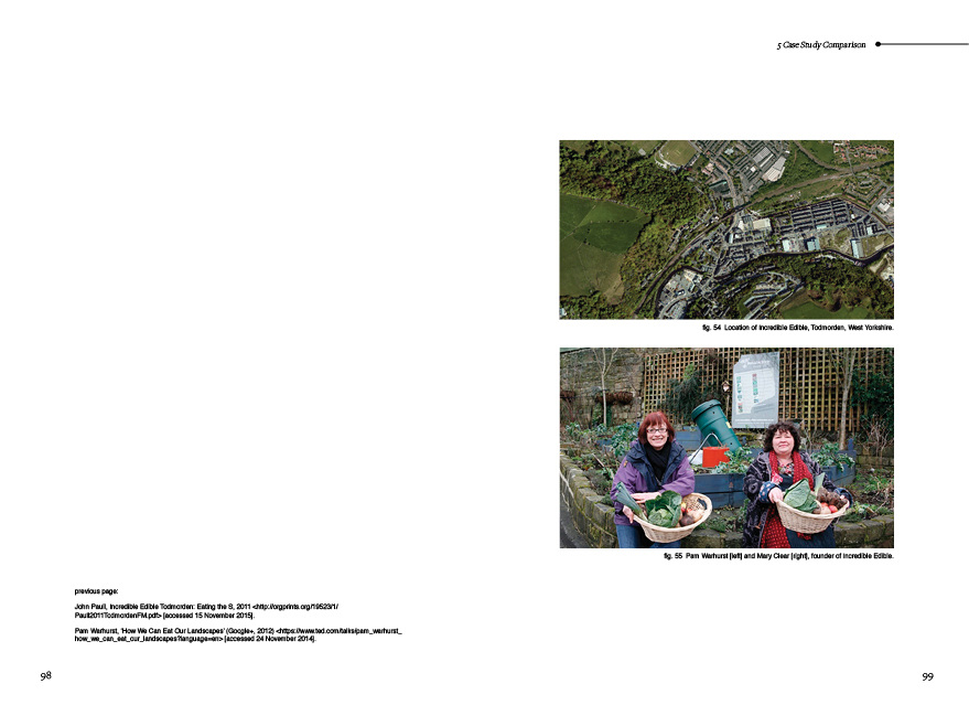 Turning from Grey to Green - naomi howell-sivosh