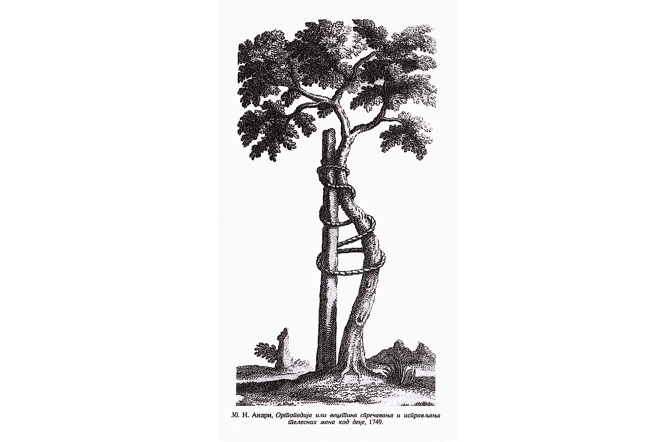 SOCIAL ORTHOPEDICS - Mladen Miljanović