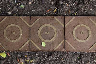 sprouting soil tiles - Shahar Kedem