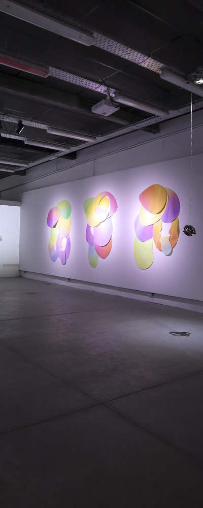 MATERIA ANIMADA - PIA SANABRIA