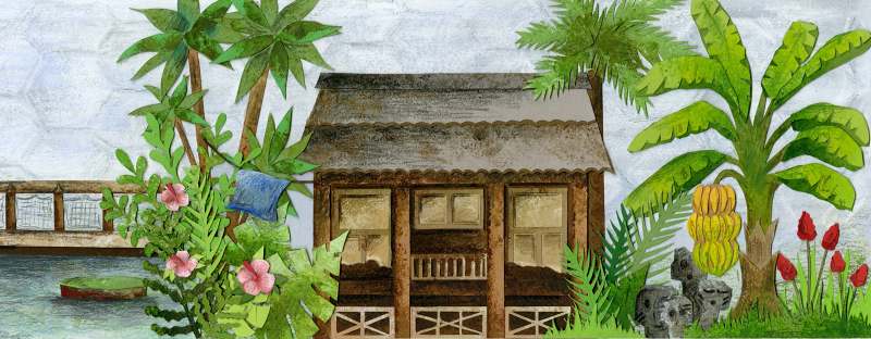 Eden Project Leaflet - Lydia Hopwood Illustration